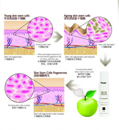 R3R Duo R Cleanser & Toner set | Azha Pasa | Azha Pasa