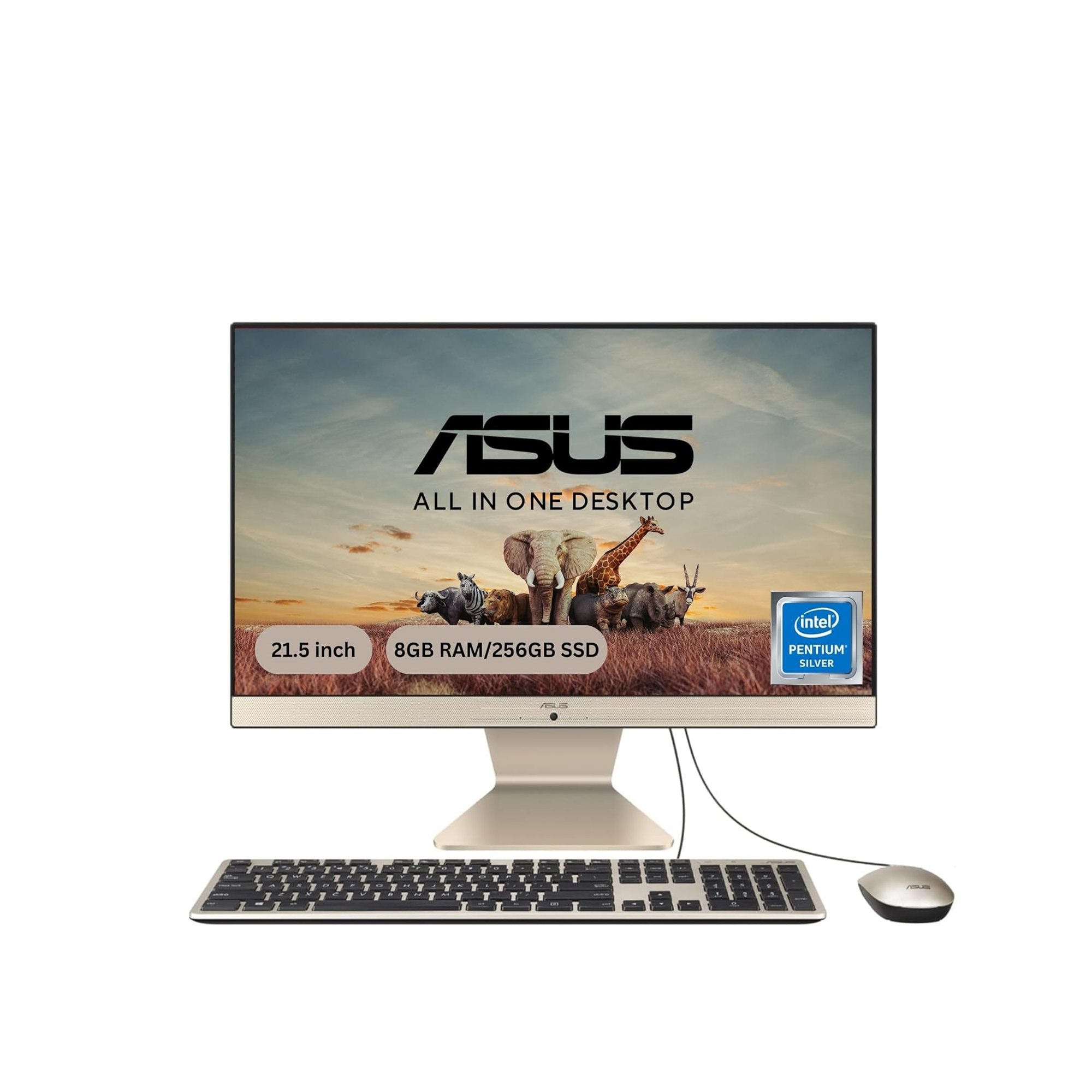 Asus Vivo All In One Desktop - 4 Core Intel Pentium Silver - V222GAK ...